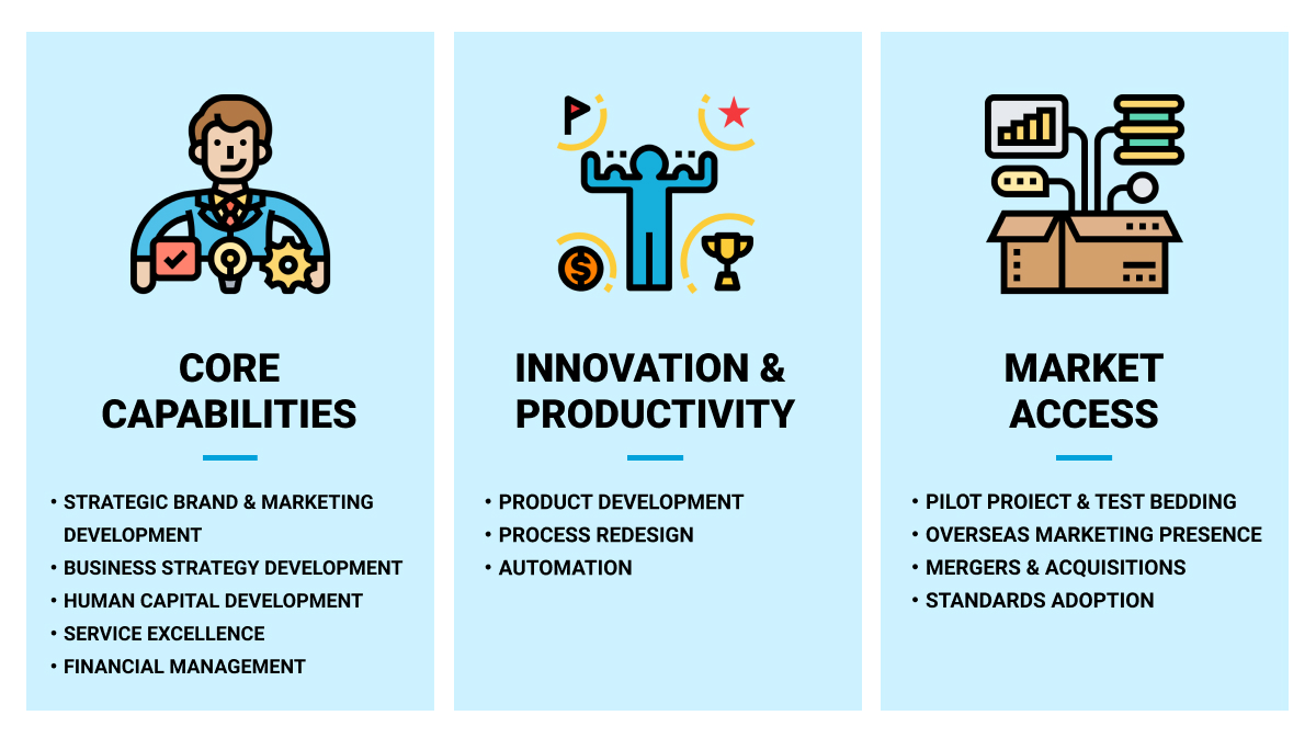 브랜딩 및 디지털 마케팅을 위한 EDG(Enterprise Development Grant) 가이드 - AFFRT