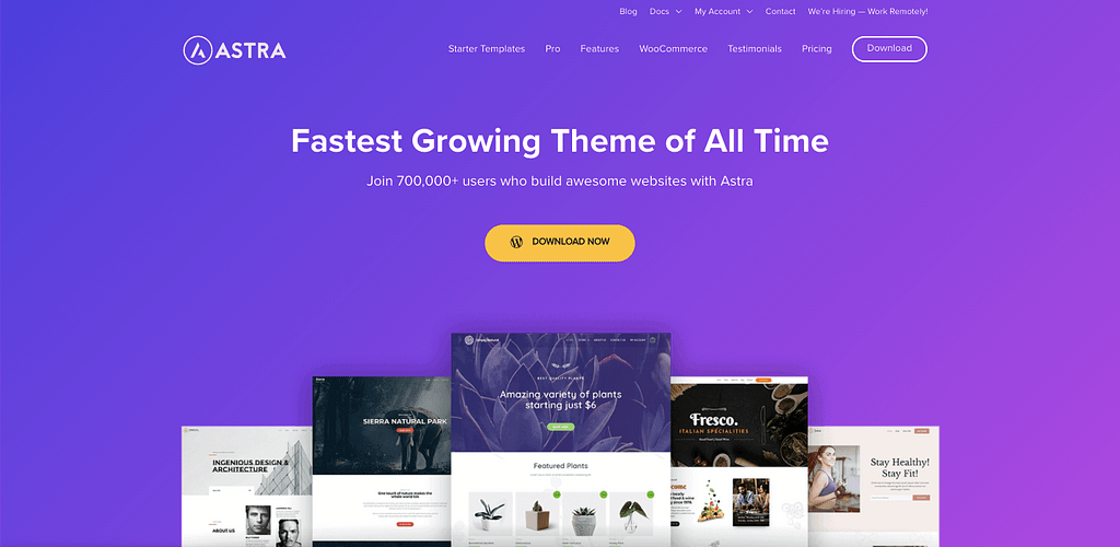 トップの無料 e コマース WordPress テーマ - AFFRT